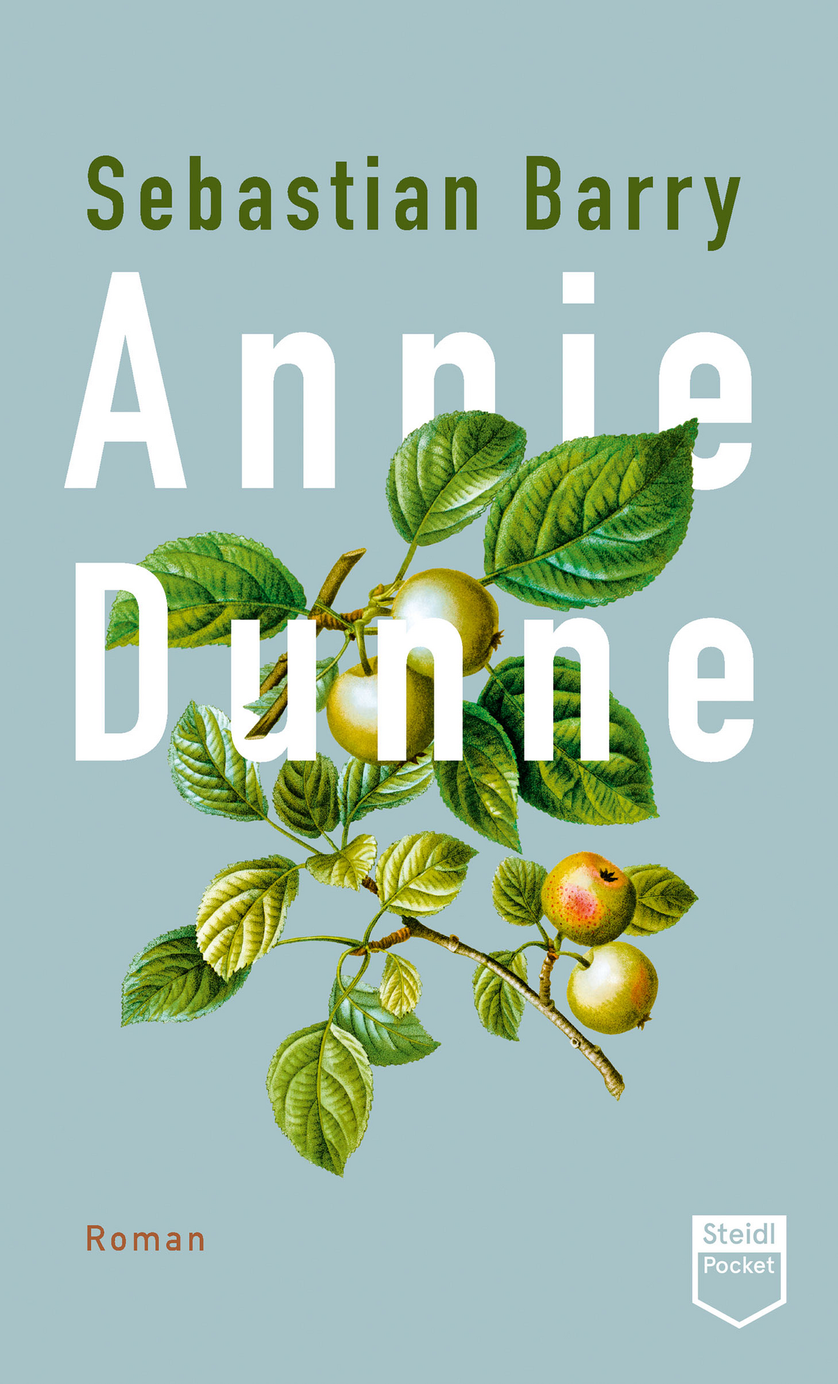 Annie Dunne (Steidl Pocket) - Sebastian Barry - Steidl Verlag