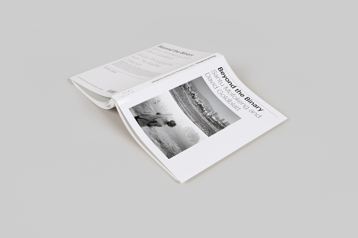 Beyond the Binary: Santu Mofokeng and David Goldblatt - Tamar Garb ...